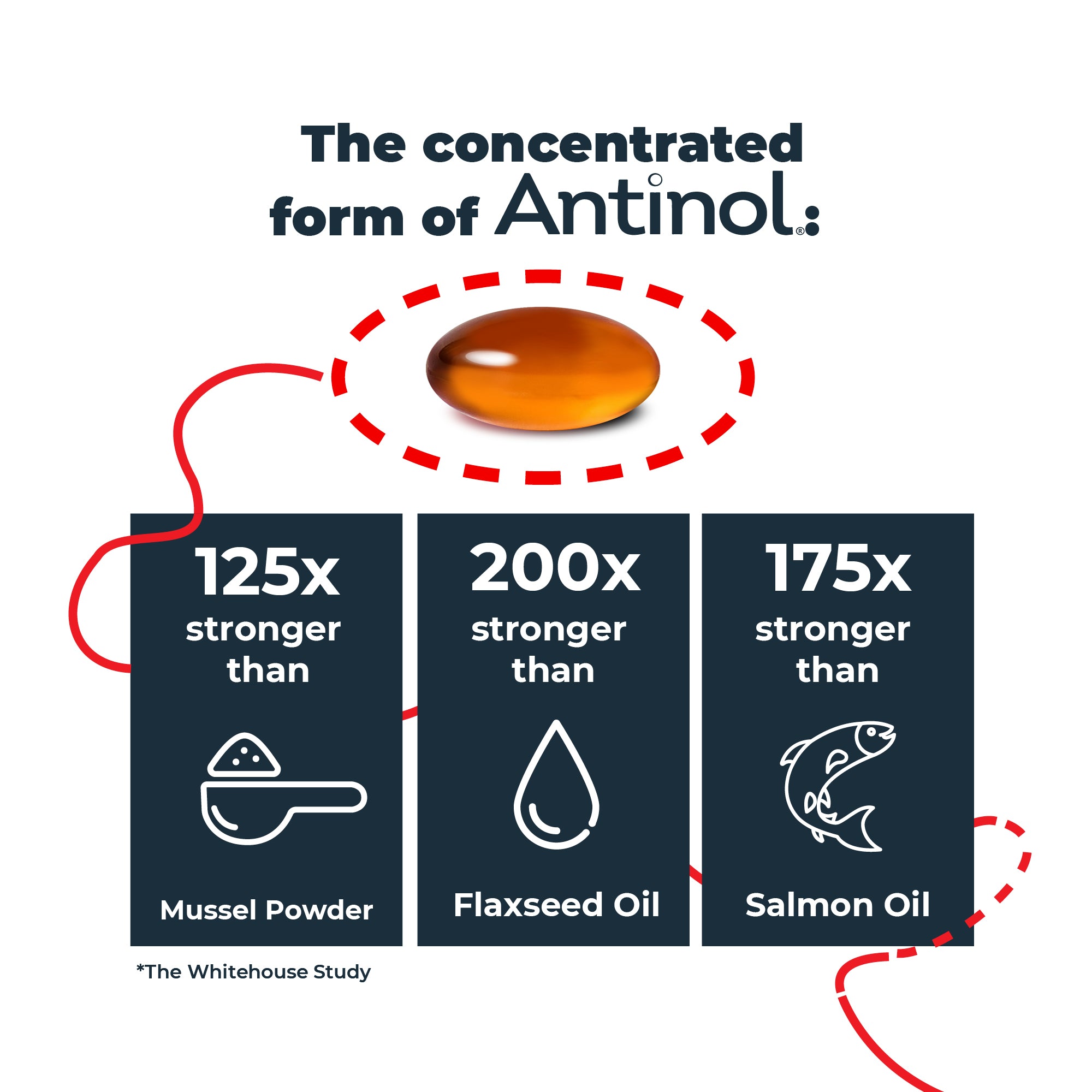 Antinol 60-day Starter Pack – Large Dog – Antinol Australia
