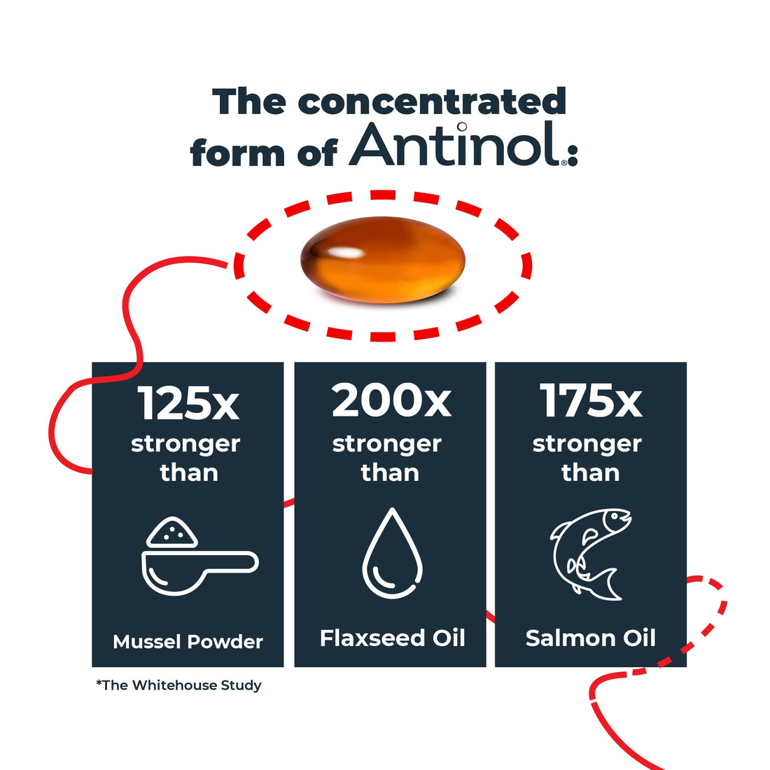 Antinol 60-day Starter Pack – Large Dog – Antinol Australia