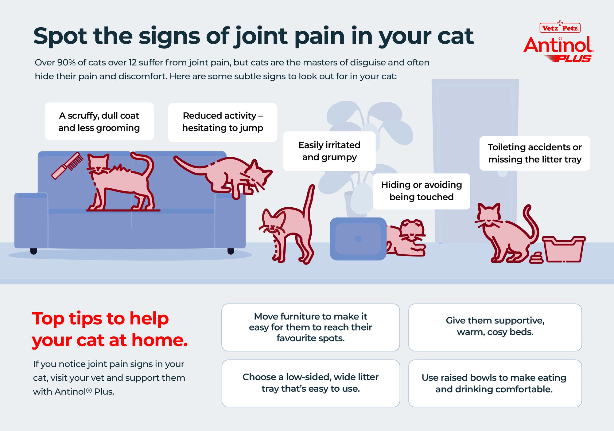 Cat-LP – Antinol Australia
