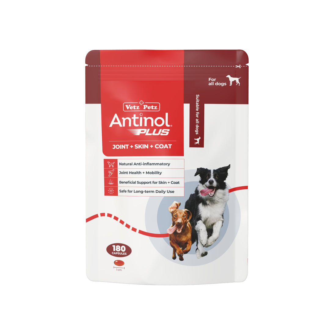 Antinol® Plus for Dogs | Antinol Australia