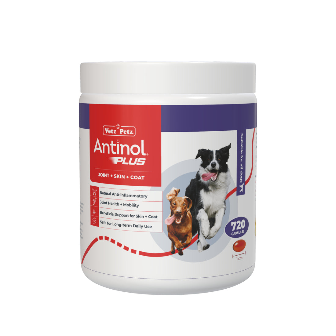 Antinol® Plus for Dogs | Antinol Australia