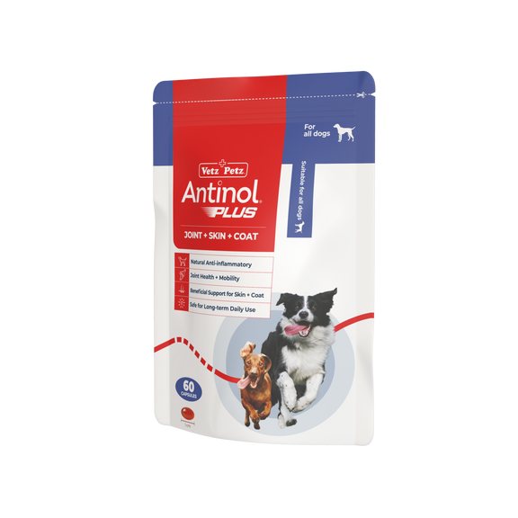 Antinol®️ Plus for Dogs | Antinol Australia