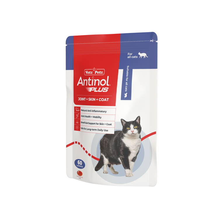 Antinol®️ Plus for Cats | Antinol Australia