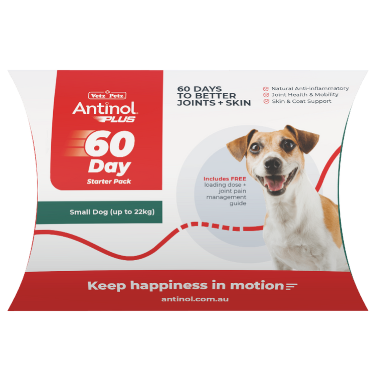 Antinol 60-day Starter Pack – Small Dog – Antinol Australia