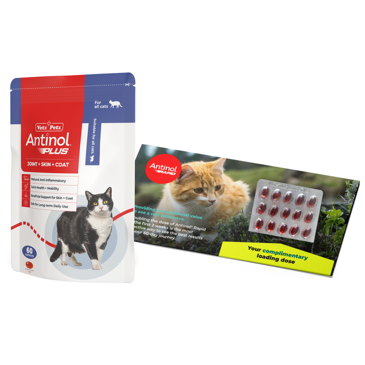 Antinol 60-day Starter Pack – Cat – Antinol Australia