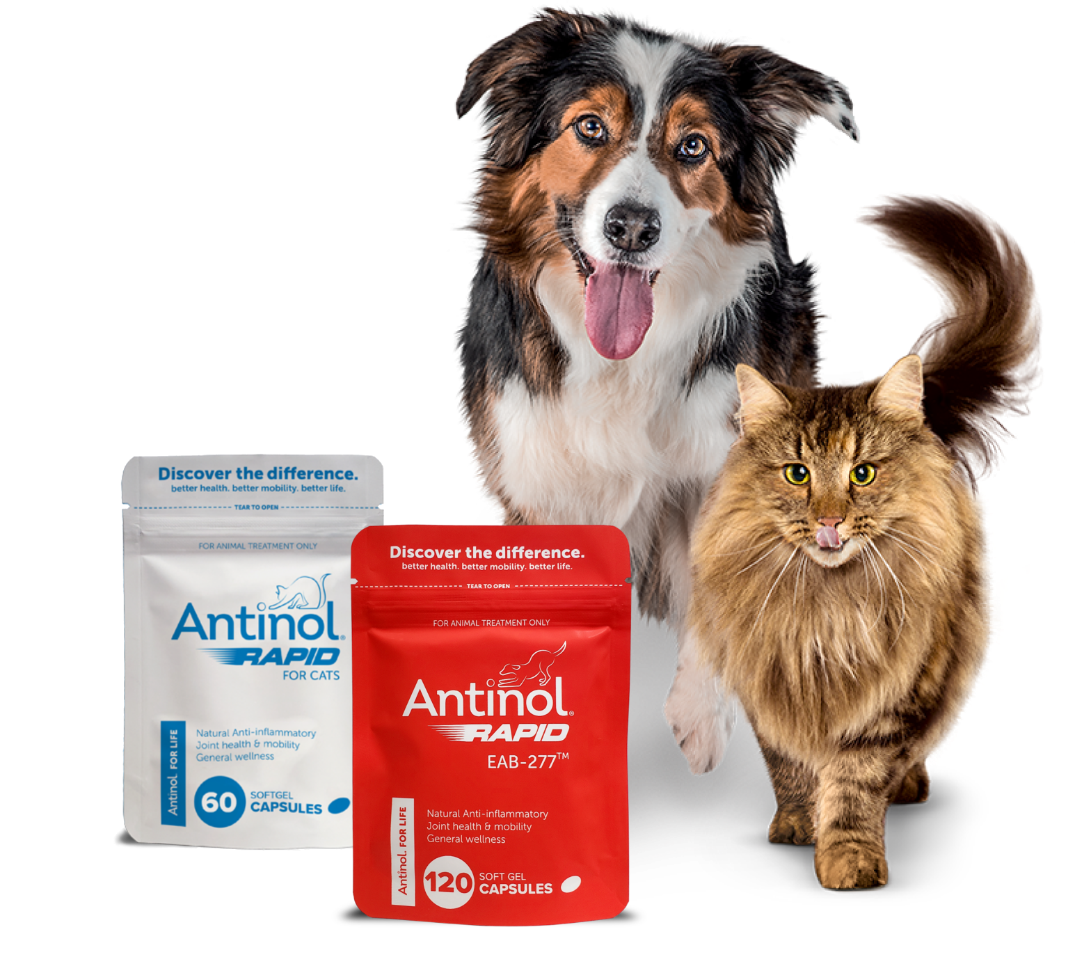 Antinol AU | The all natural joint & wellbeing supplement – Antinol ...